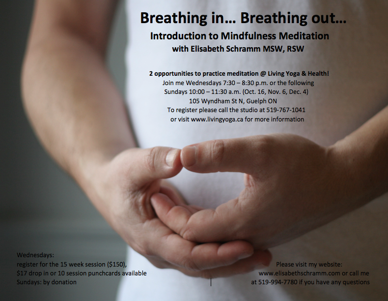 Introduction to Mindfulness Meditation – The Wellness Collaborative